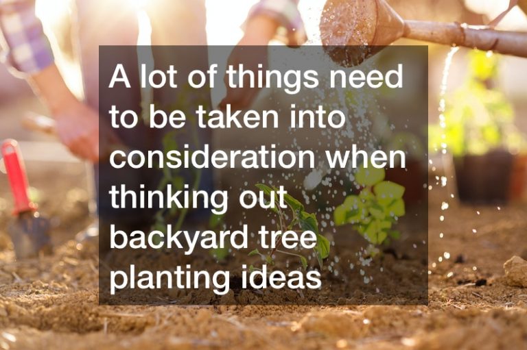 Pros and Cons of Planting Bonita Ash Trees